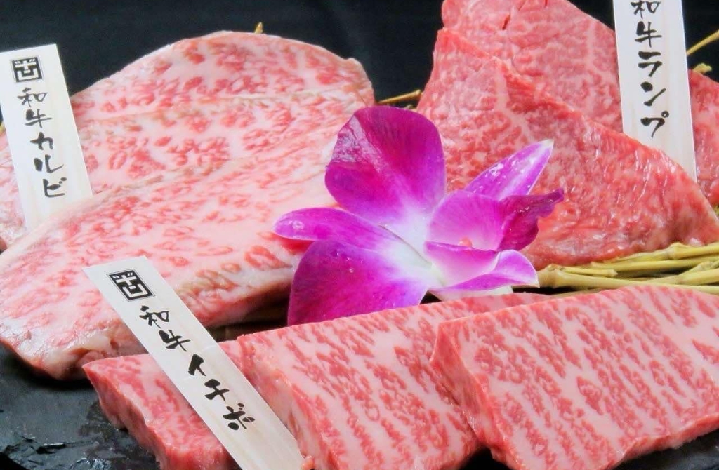SD0031/DonDonDon套餐、特选和牛套餐等 | [PREMIUM BOOKING HOKKAIDO]预约高端酒店、特色餐饮与文化体验
